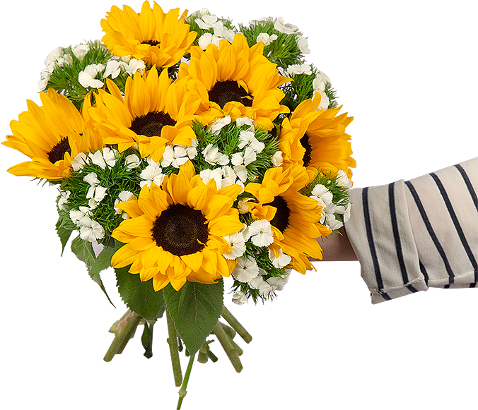 Flower Delivery | Bunches