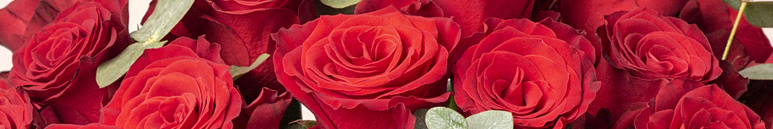 Only the best: Rhodos Red Roses | Bunches Journal