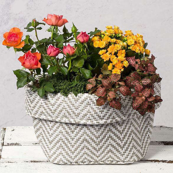Flower Delivery | Bunches