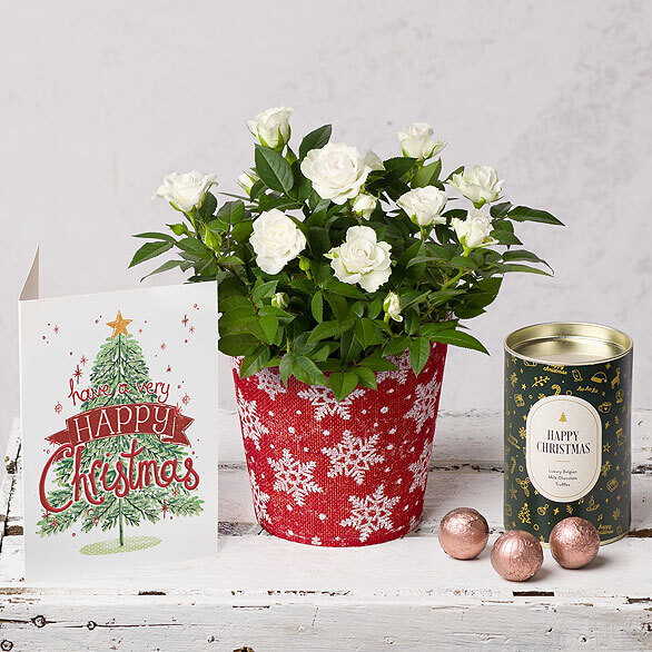 Flower Delivery | Bunches