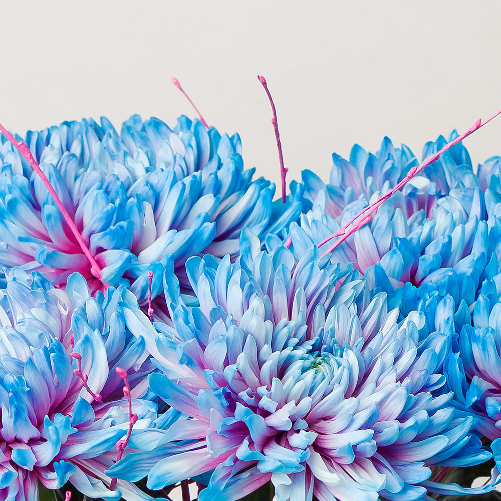 Flower Delivery | Bunches