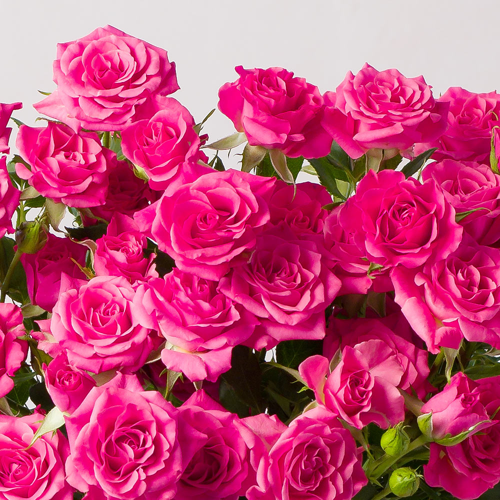 Flower Delivery | Bunches