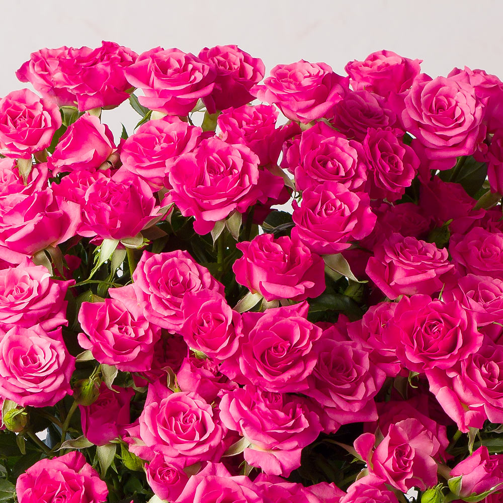 Flower Delivery | Bunches