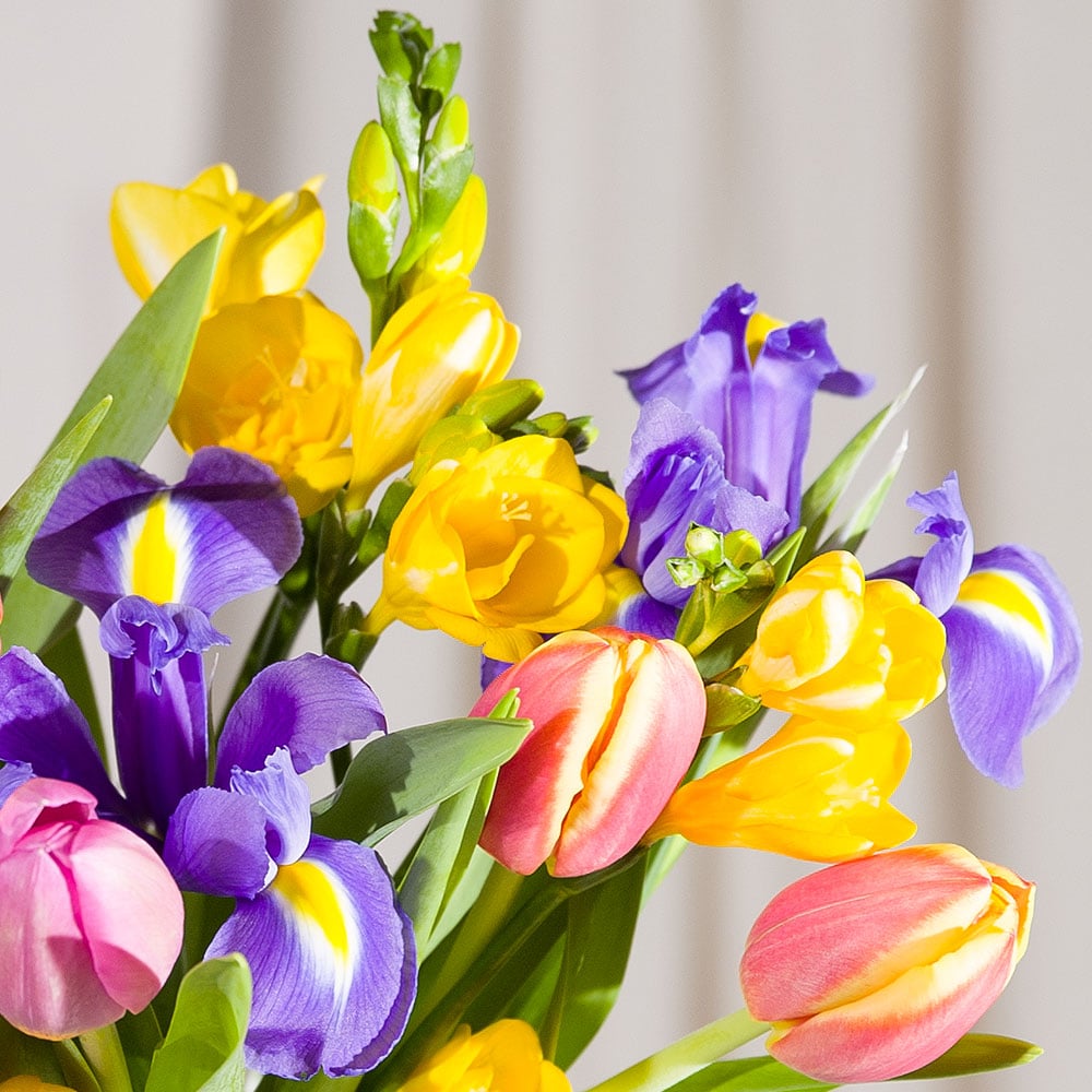 Flower Delivery | Bunches