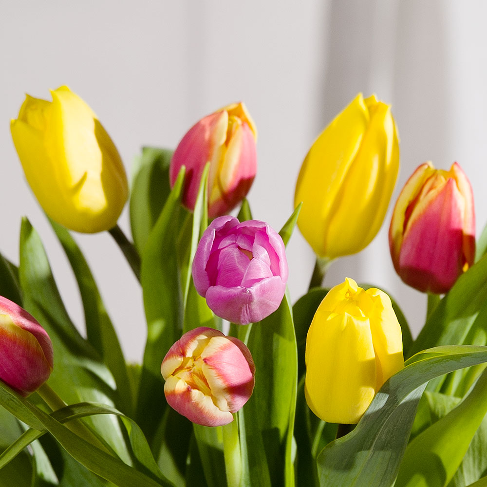 Flower Delivery | Bunches