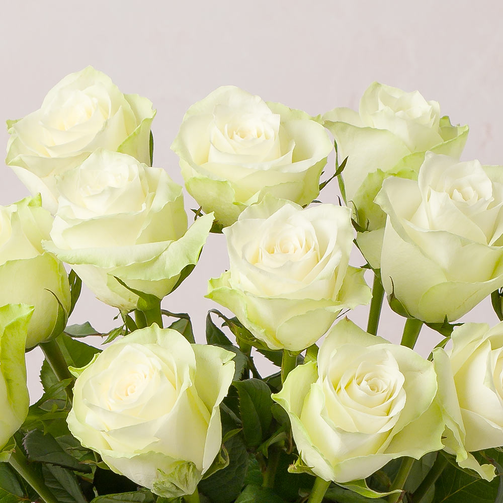 Flower Delivery | Bunches