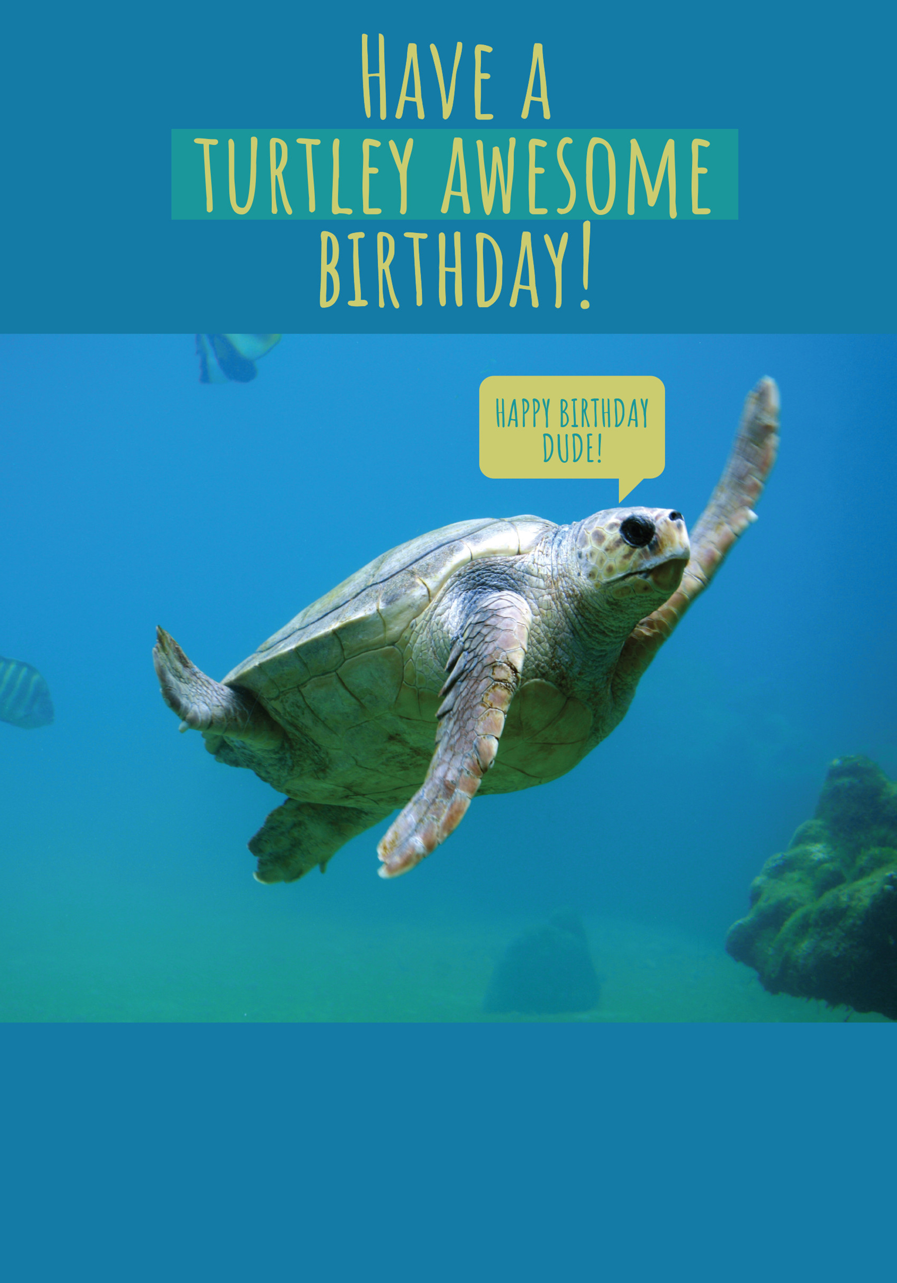 Flower Delivery | Bunches