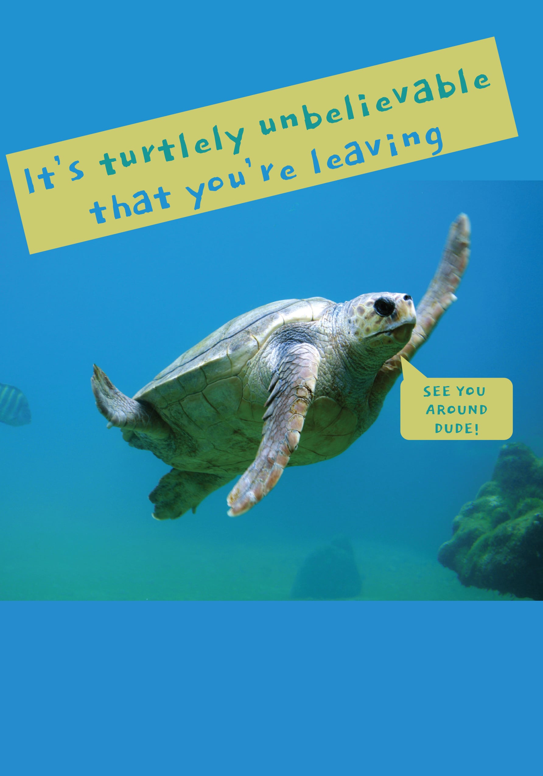 Flower Delivery | Bunches