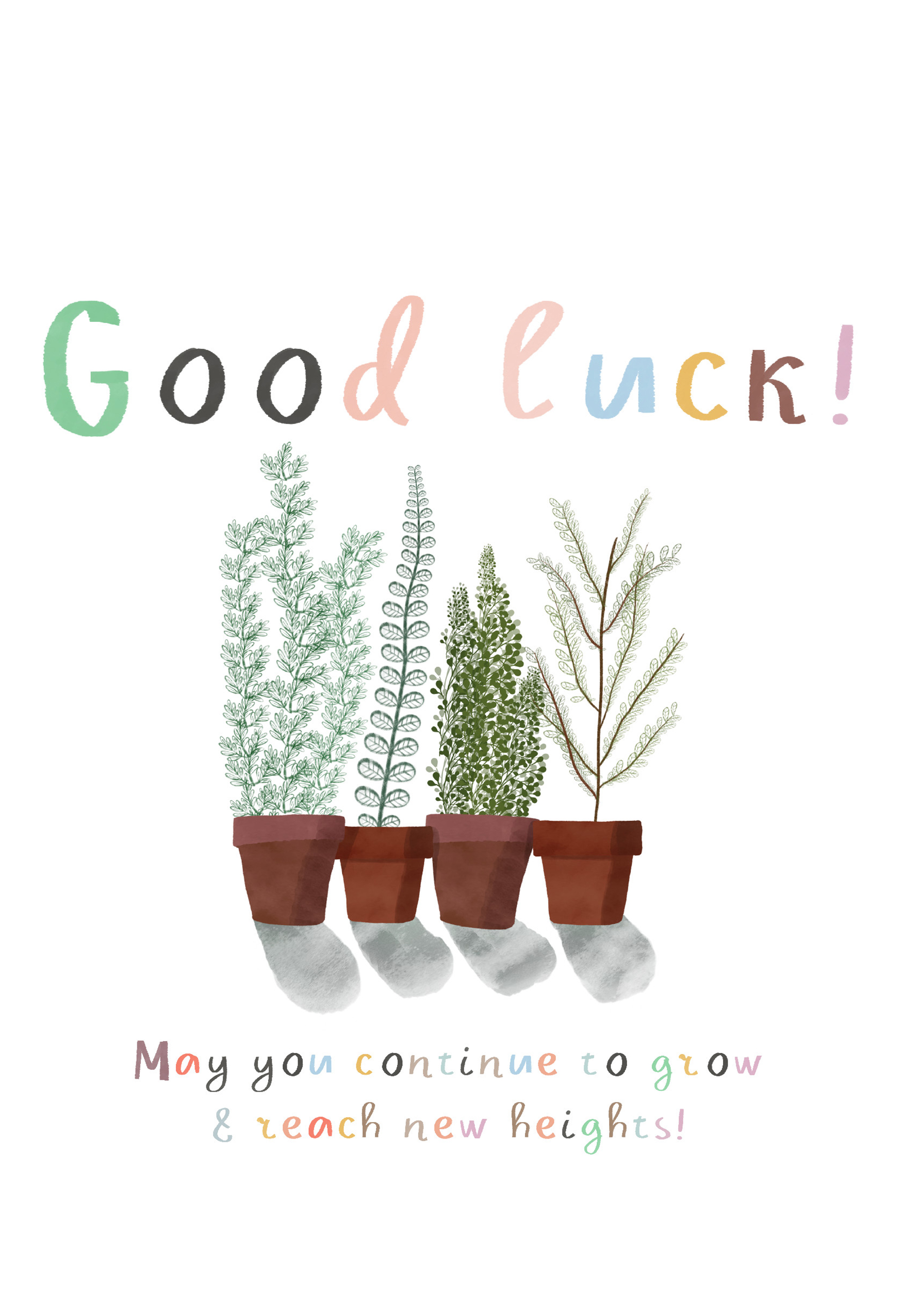 Flower Delivery | Bunches