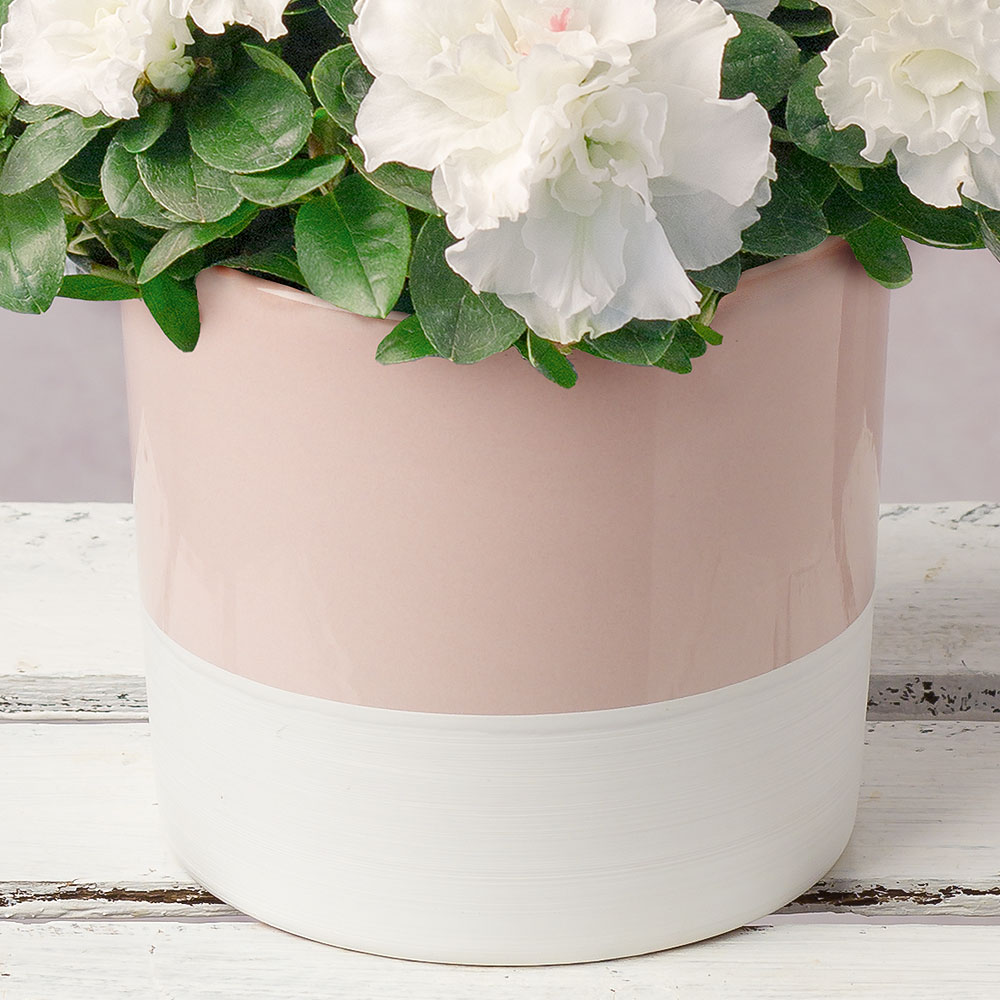 Flower Delivery | Bunches