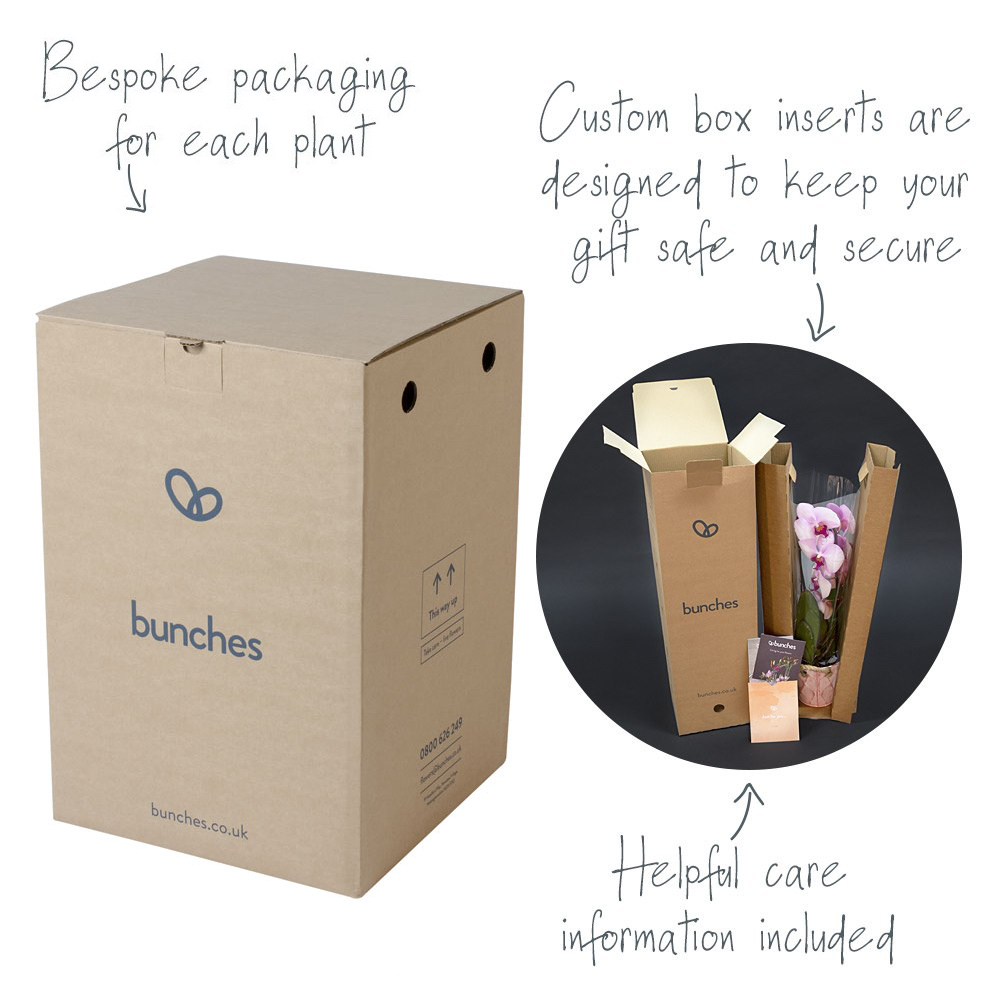 Flower Delivery | Bunches