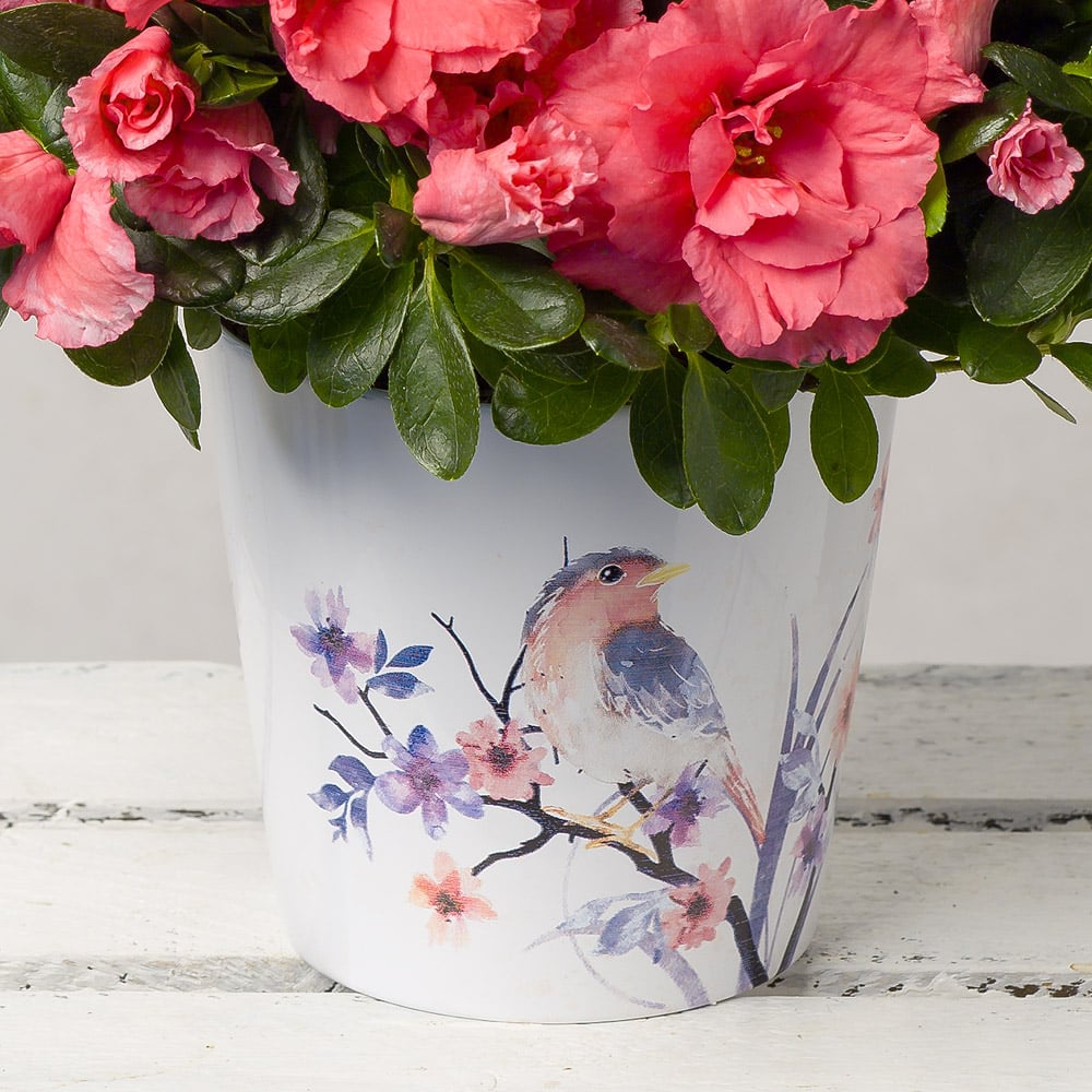 Flower Delivery | Bunches