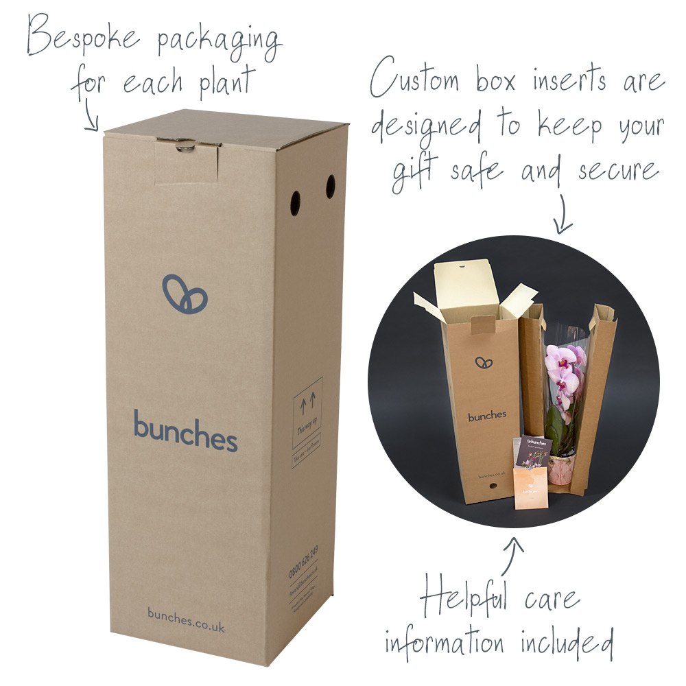 Flower Delivery | Bunches