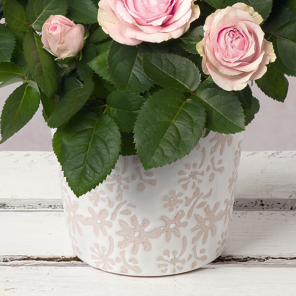 Flower Delivery | Bunches