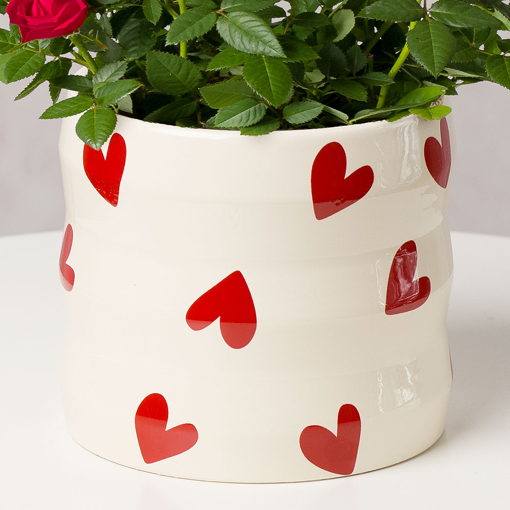 Flower Delivery | Bunches
