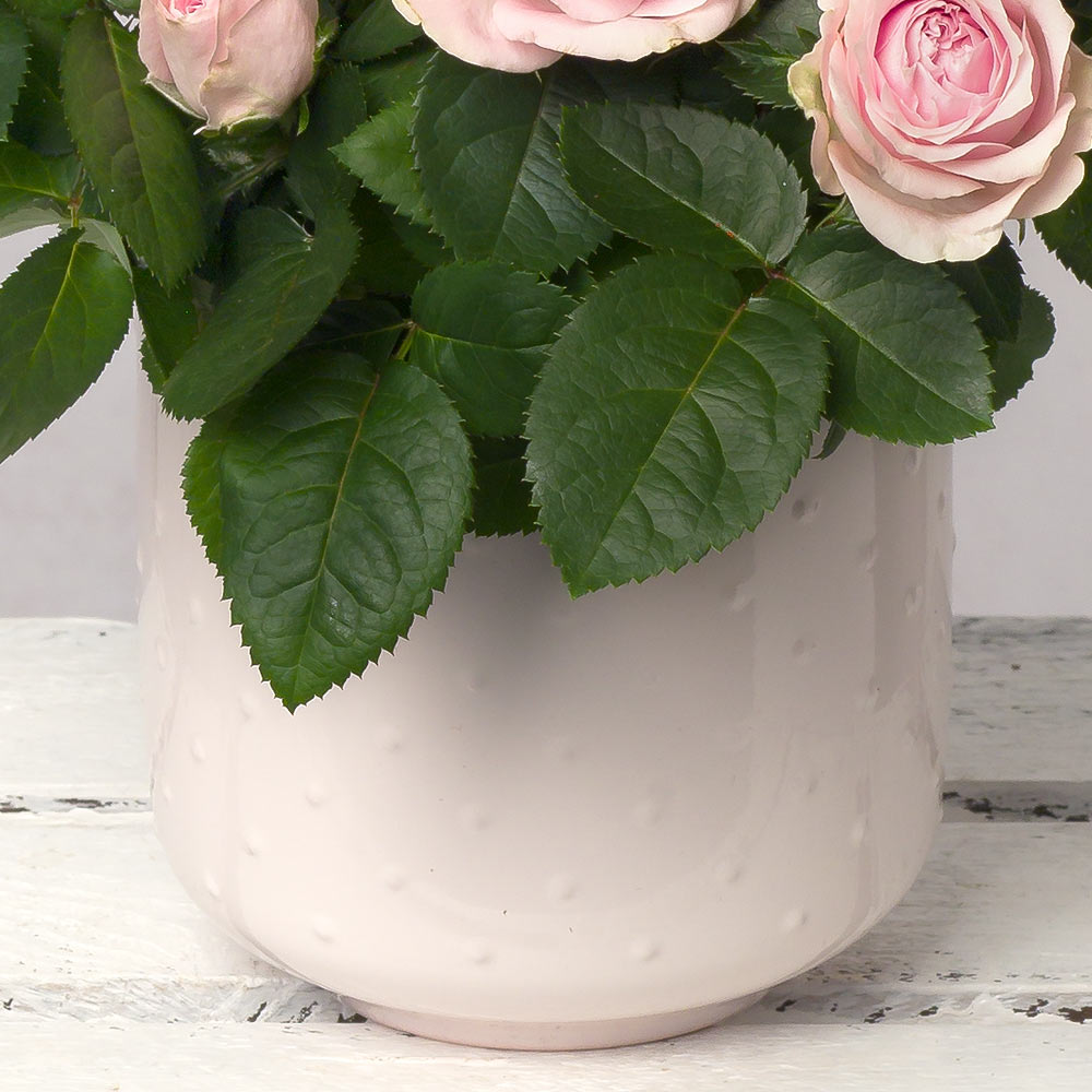 Flower Delivery | Bunches