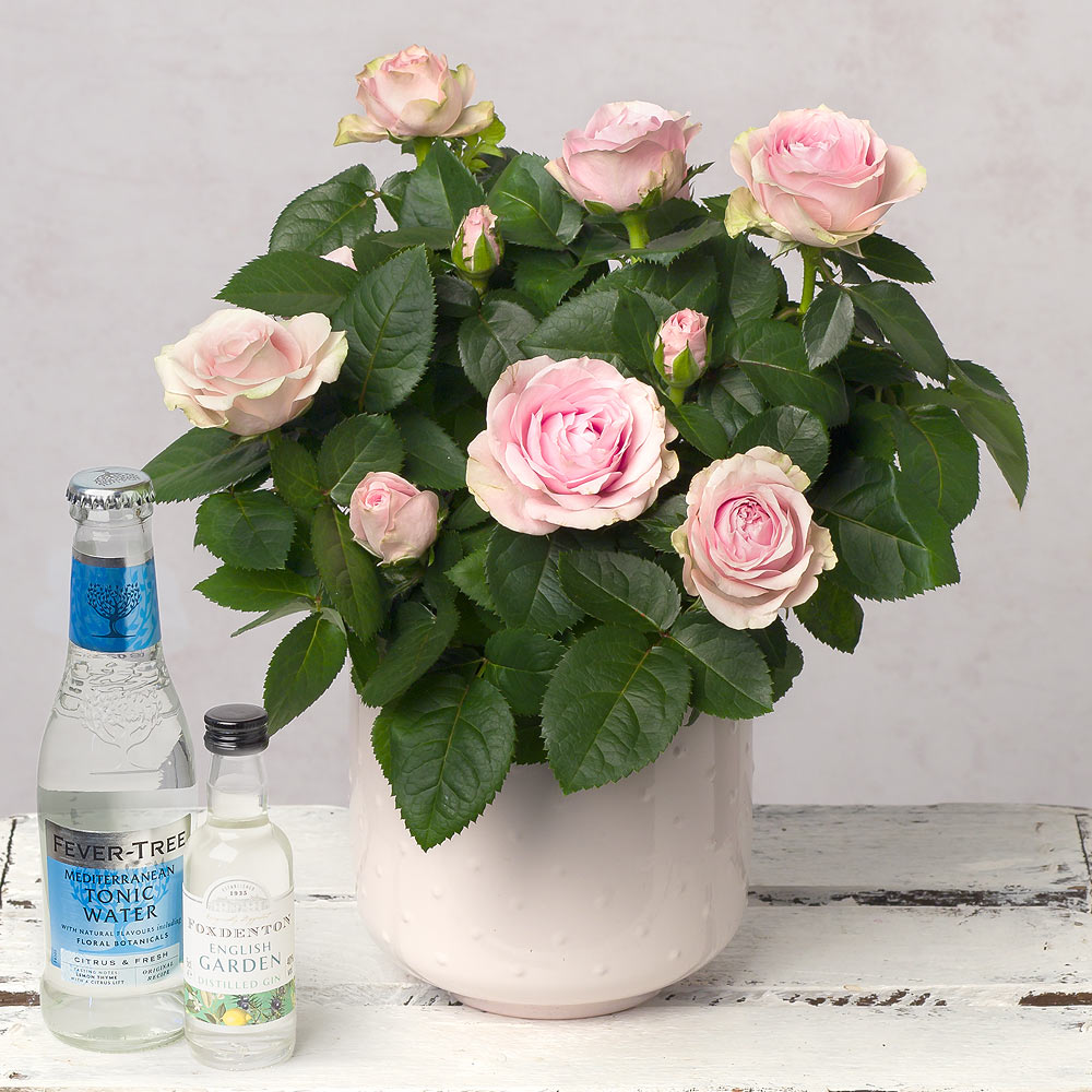 Flower Delivery | Bunches