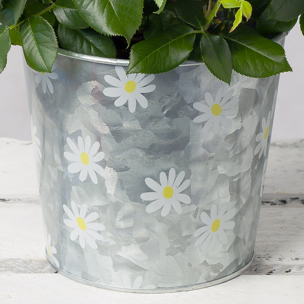 Flower Delivery | Bunches