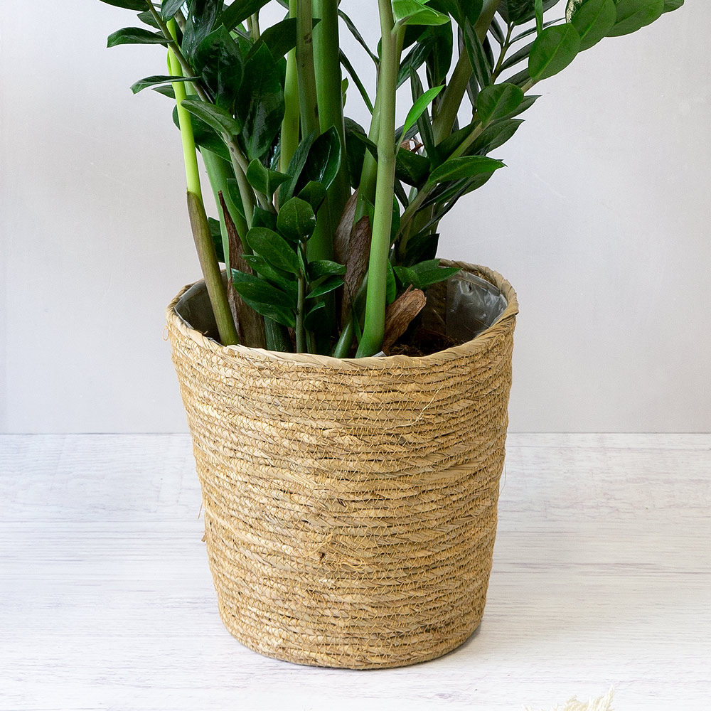 Flower Delivery | Bunches