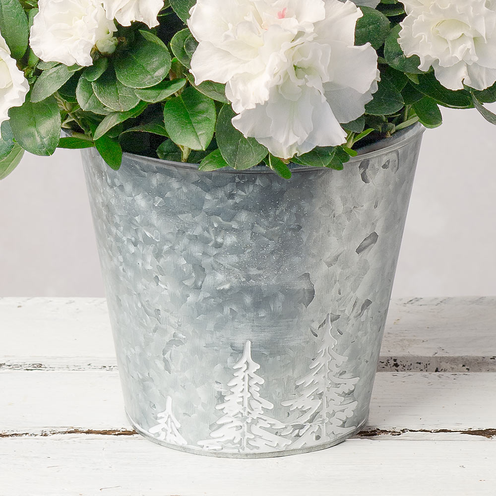 Flower Delivery | Bunches