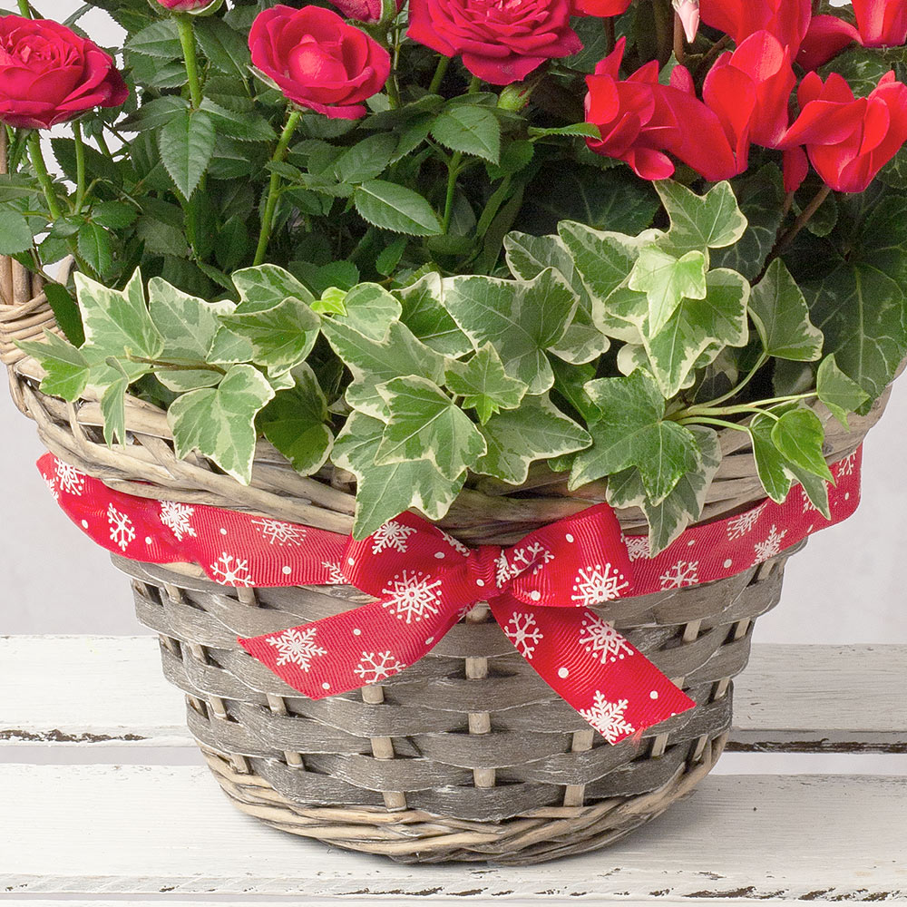 Flower Delivery Bunches