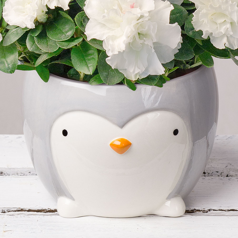 Flower Delivery | Bunches