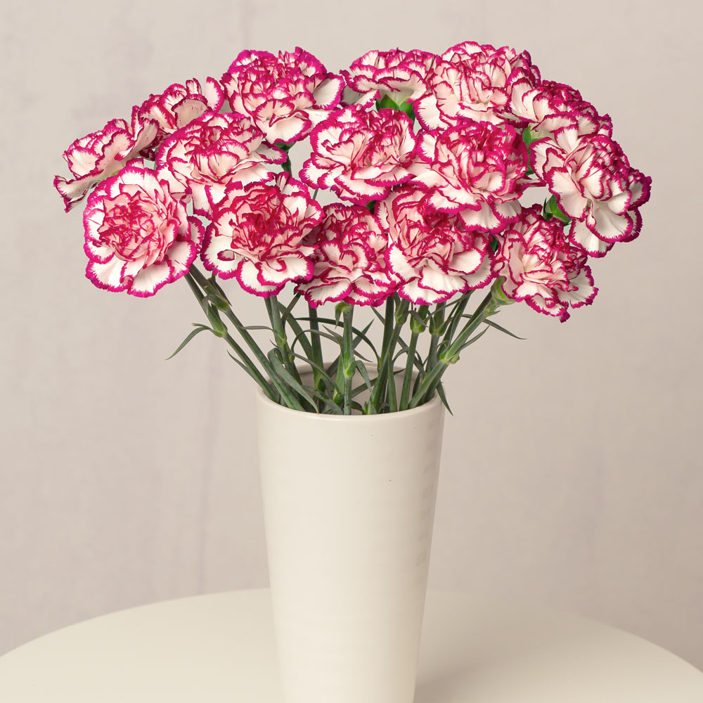 Flower Delivery | Bunches